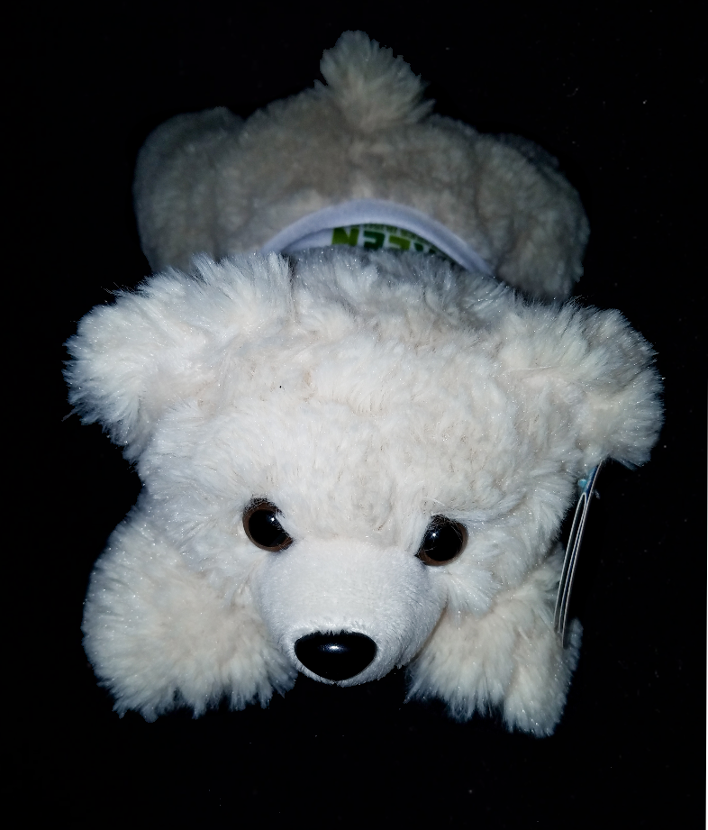 Fuzzy Butter Bear | McGuire's Irish Pub